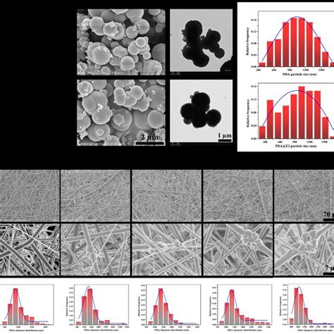Particle Morphology And Size Distribution Of A Pda And B Pda E2