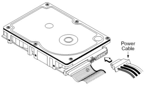 What Is The Proper SCSI Cable Configuration Seagate US
