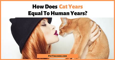 How Does Cat Years Equal To Human Years Pet Trained