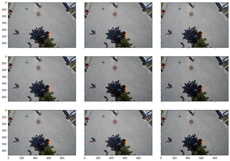 Data Augmentation With Albumentations Julius Data Science Blog