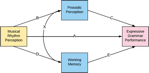 Path Model For Mediation Analysis Of Musical Rhythm Perception And Download Scientific Diagram