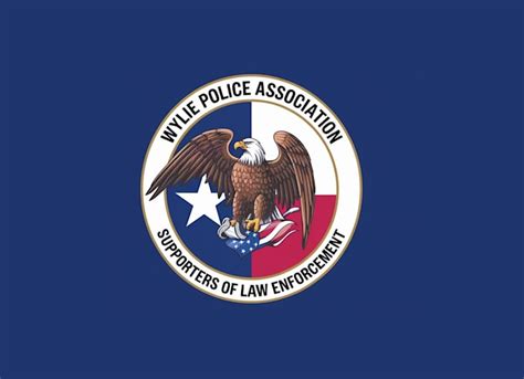 Create Awesome And Gorgeous Eagle Logo Design By Sylvesterterry Fiverr