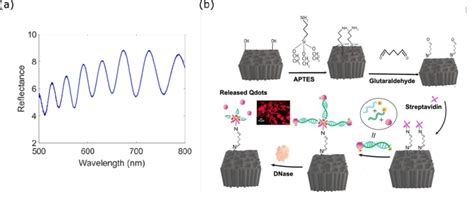 A Interference Spectrum Collected From An Oxidized Psi Layer Under Download Scientific