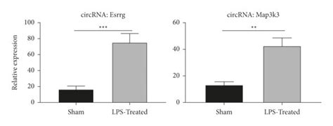 Circrna Mrna Network And Validation Results For The Selected Circrnas Download Scientific