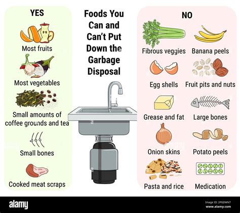 What Can You Put In A Garbage Disposal