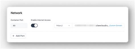 Deploy From Docker Clawcloud Run Documents