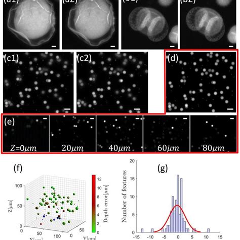Flowchart Of Depth Map Reconstruction With Feature Based Method Download Scientific Diagram