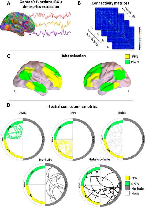 Spatial Connectomic Pipeline A Functional Connectivity Fc Estimation Download Scientific
