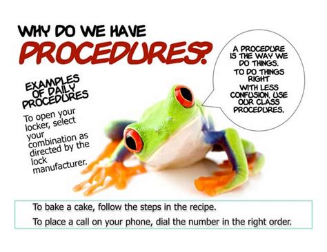 Class Procedures Pdf