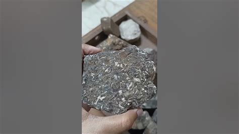 Fossiliferous Limestone Rock Earthdetective Shorts Youtube