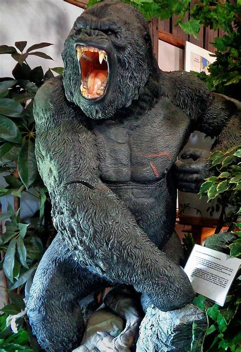 Cfz Usa Why Did Gigantopithecus Become Extinct