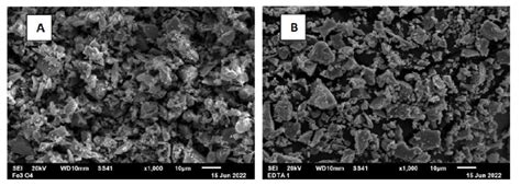 Morphology Of Bare And Functionalized Edta Particle From Electrochemistry Download Scientific