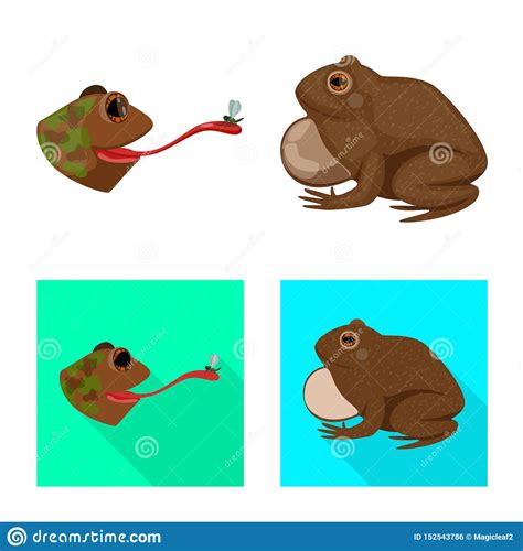 Vector Design Of Wildlife And Bog Icon Set Of Wildlife And Reptile Stock Symbol For Web Stock