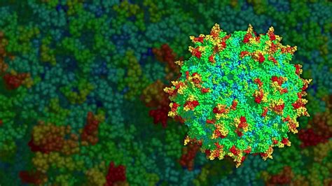 Video Wyss Institute At Harvard University On Linkedin Aav Capsid