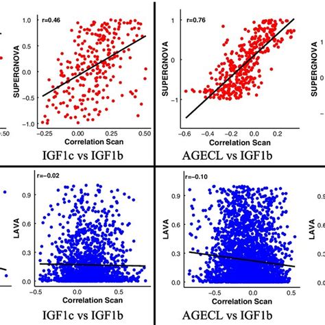 relationship between the estimated local genetic correlations obtained