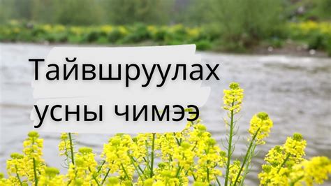 Тайвшруулах усны чимээ Youtube