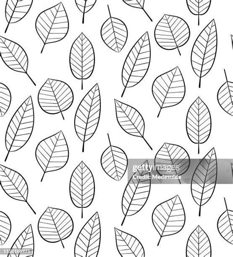 Leaf Pattern