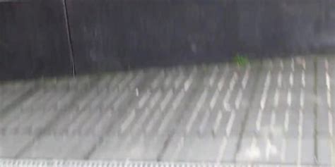 Julie Skyhight Sucks For Money