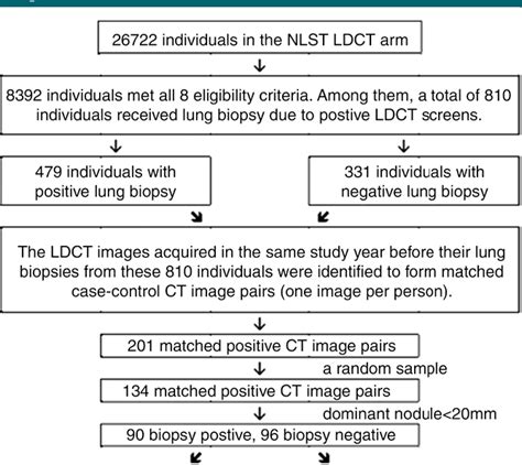 Figure 1 From Added Value Of Computer Aided Ct Image Features For Early Lung Cancer Diagnosis