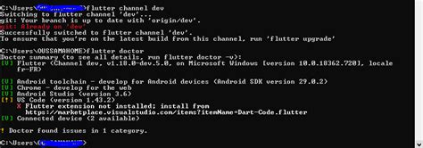 Web White Screen And Error In Console When Running Flutter For Web App · Issue 40876