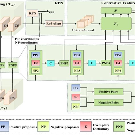 Architecture Of The Proposed Exemplar Guided Contrastive Learning