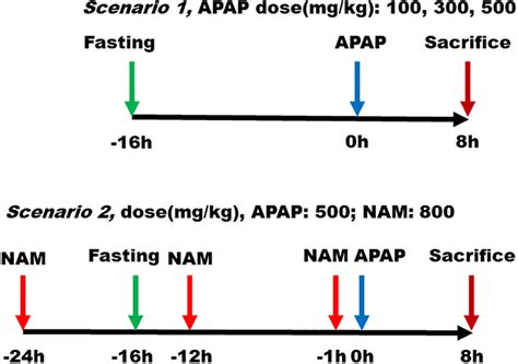Diagram Of Experimental Settings Download Scientific Diagram