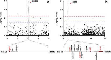 Regional Genome Scan For Two Genomic Regions Significantly Associated