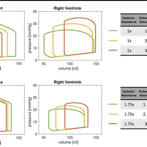 Pressure Volume PV Loops For The COVID Scenarios PV Loops Of LV Download Scientific