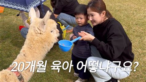 Vlog 20개월 아기 주말 육아 모음집아기랑서울나들이 아기랑 한강 주주랜드 어린이집등원일상 밤잠쪽쪽이 밤잠연장 김포현대아울렛 아기랑아울렛 Youtube