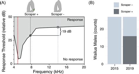 Decoupling Of Sexual Signals And Their Underlying Morphology Facilitates Rapid Phenotypic