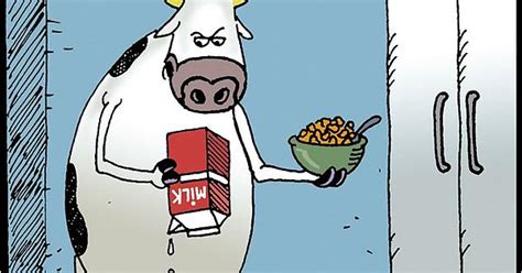 Sunny Street Album On Imgur