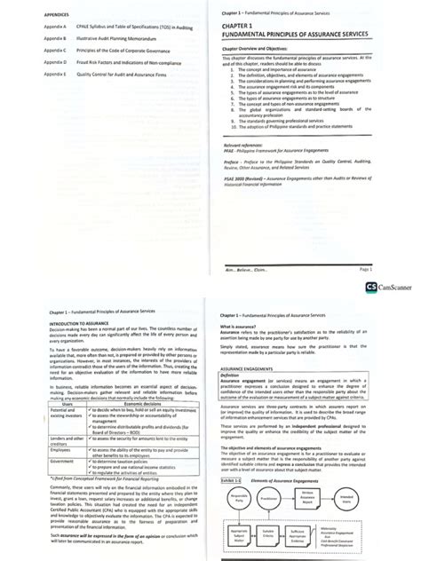 Chapter 1 Fundamental Principles Of Assurance Services Pdf