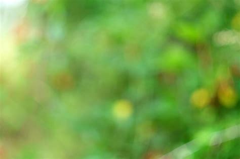 Premium Photo Abstract Green Nature Background Abstract Blue Green Color For Background