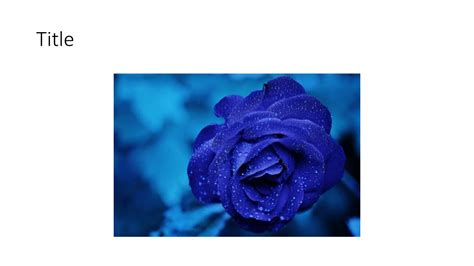 Read An Image In Powerpoint File Using C Interop Stack Overflow