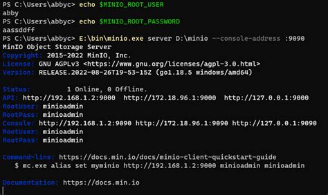 Windows Environment Variables Are Not Read As Expected · Issue 15617