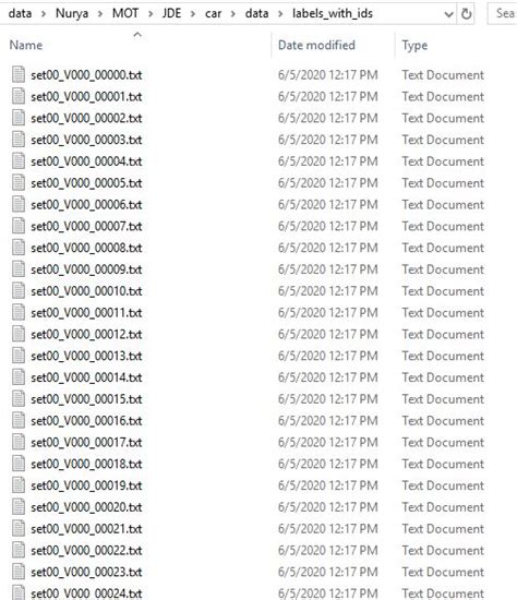 error on custom dataset · issue 160 · zhongdao towards realtime mot