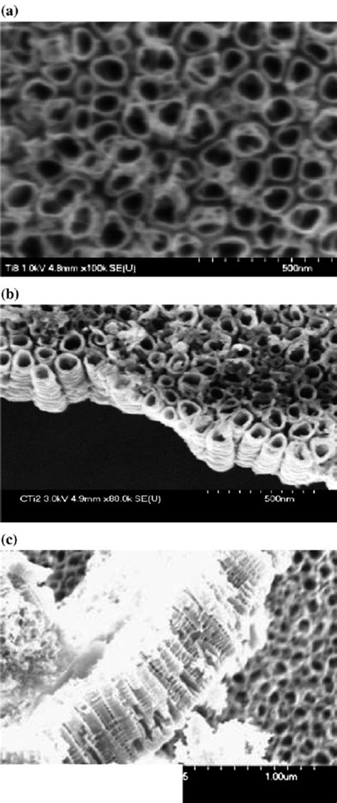 Morphology Of The Tio 2 Nanotubes Formed In Different Ph Conditions Download Scientific Diagram