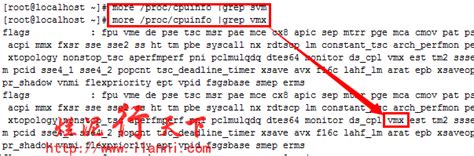 查看服务器的bios是否开启cpu虚拟化 程序员大本营