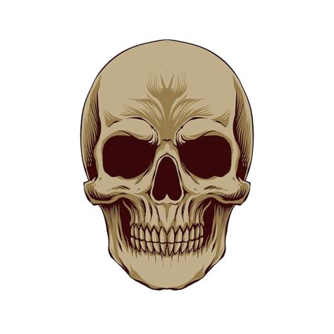 Premium Vector Skulls Head