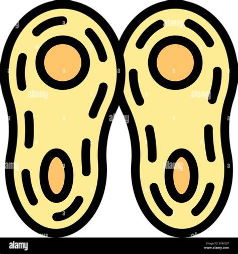 Cell Division Process Showing Two Daughter Cells With Nucleus And Membrane Stock Vector Image