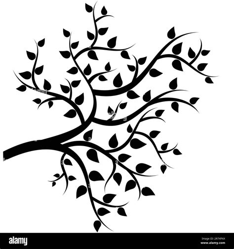 Plant Life On Tree Stock Vector Images Alamy