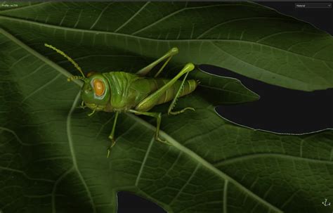 Grasshopper Tutorial Zbrush And Flippednormals