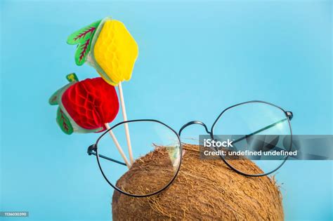 밝은 파란색 배경에 과일로 장식 된 세련 된 안경의 껍질에 있는 전체 갈색 코코넛 개념에 대한 스톡 사진 및 기타 이미지 개념 건강한 생활방식 건강한 식생활 Istock