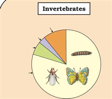 Biodiversity Flashcards Quizlet