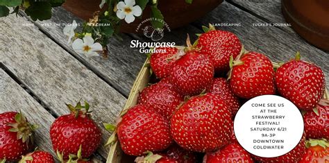 Showcase Gardens And Showcase Gardens And Landscaping