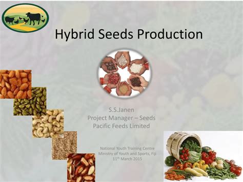 Pdf Hybrid Tomato Seeds Production