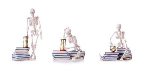 The Skeleton Reading Books On White Skeleton Reading Books On White