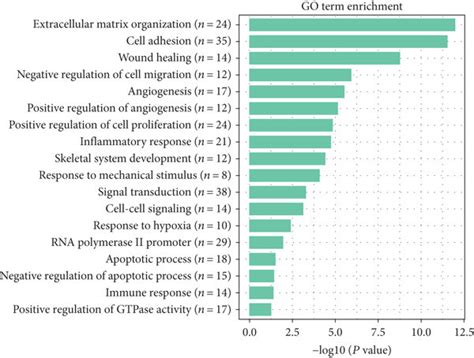 Transcriptomic Expression Analysis Of Hmsc Spheroids A The Heatmap