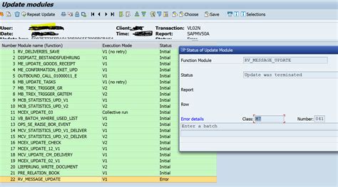 Solved Enter A Batch Termination Error In Vl02n Pgi Pos Sap Community