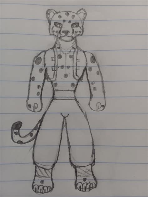 Can Anyone Draw My Kung Fu Panda Oc Hes A Cheetah R Icandrawthatfurry